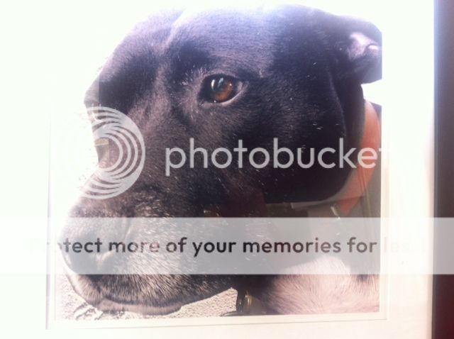 View topic - Simonds Avalon Adelaide • Home Renovation & Building Forum