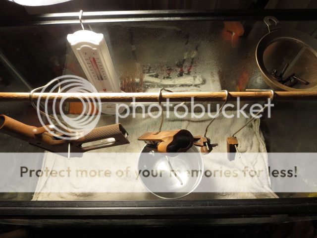 Anybody here rust blue before? | Defensive Carry